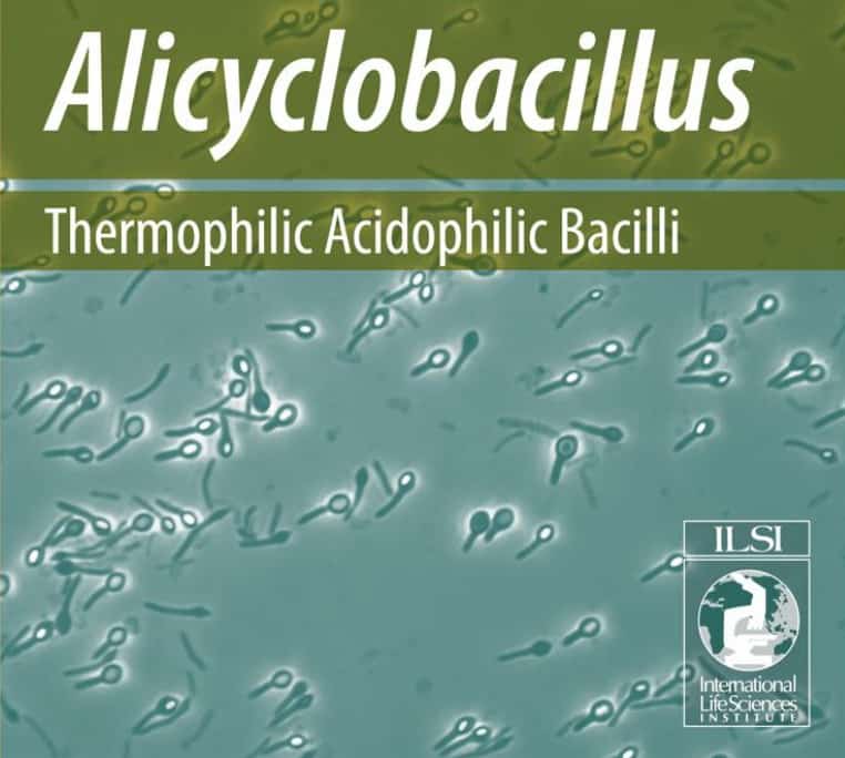 Alicyclobacillus acidiphilus - NBRC 100859 - CHỦNG VI SINH VẬT CHUẨN ATCC