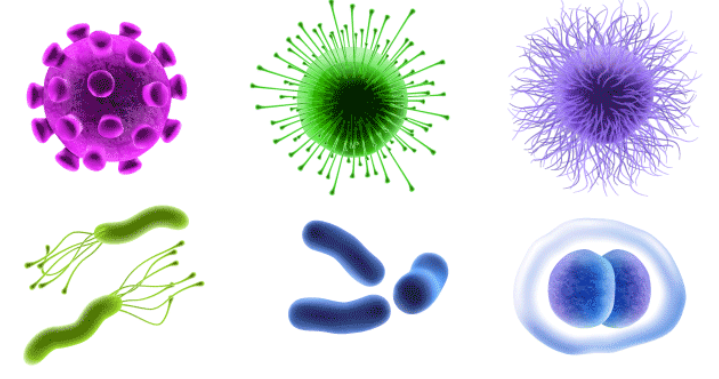 Tổng quan về Vi sinh vật học - Microbiology - CHỦNG VI SINH VẬT CHUẨN ATCC