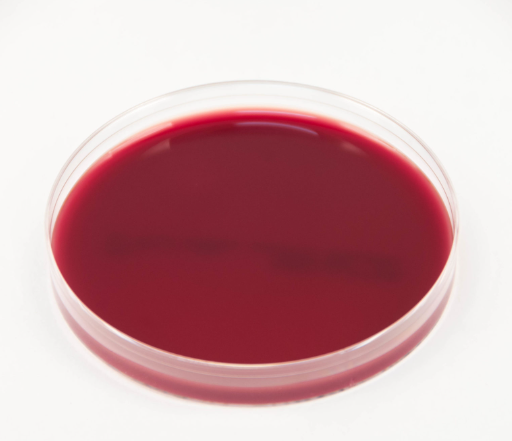 Môi trường Brain Heart Infusion Broth - CHỦNG VI SINH VẬT CHUẨN ATCC